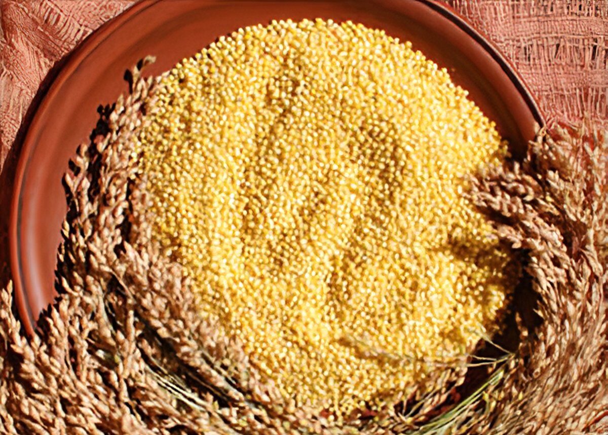 Types of Millets and Their Amazing Health Benefits!! - Vishakha's Kitchen